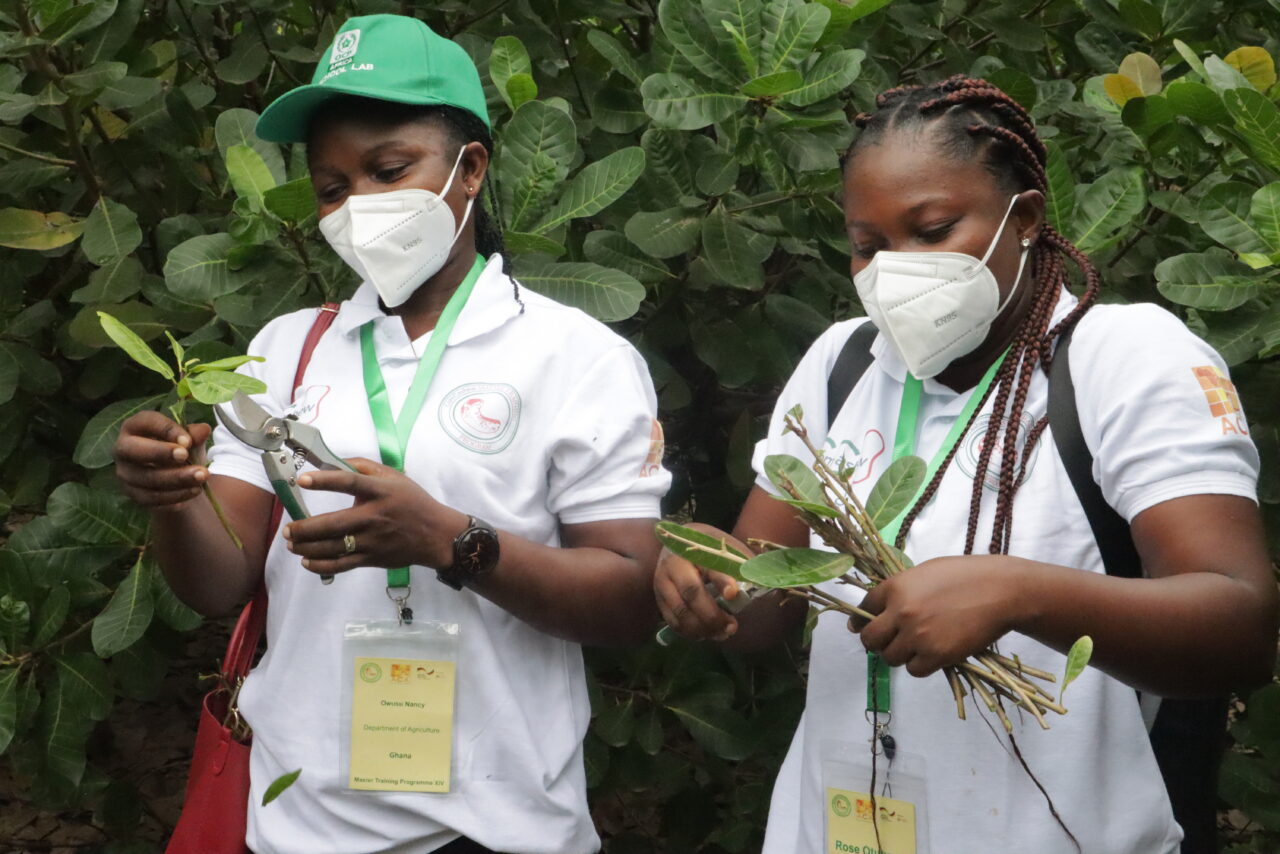 Cashew Master Training Program - MTP | Cashew Master Training Program